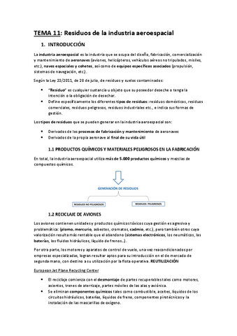 TEMA-11.pdf