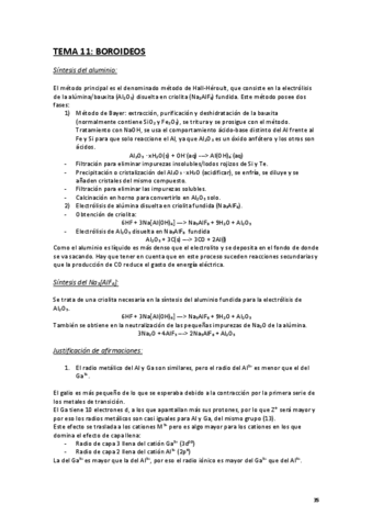 TEMA-11-BOROIDEOS.pdf