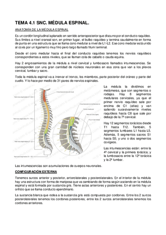 6.-TEMA-4.1-SNC.-MEDULA-ESPINAL.pdf