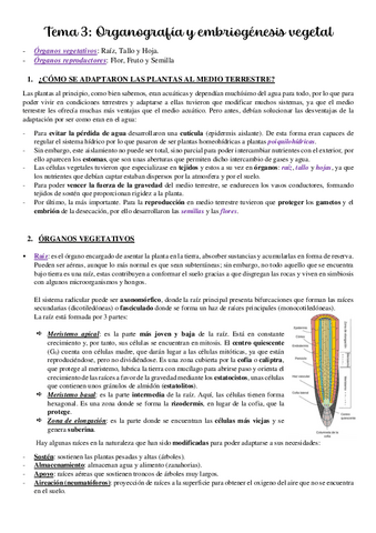 TEMA-3.-ORGANOGRAFIA-Y-EMBRIOGENESIS-VEGETAL.pdf