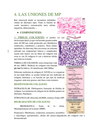 4.-UNIONES.pdf