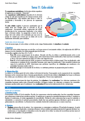 Tema-11-BCHI.pdf