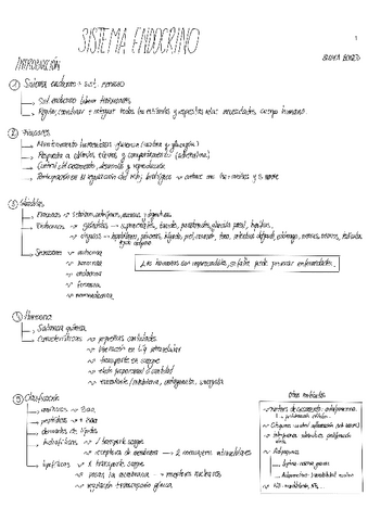esquema-endocrino.pdf