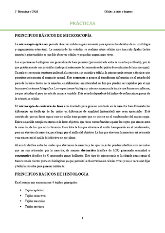 Teoria-practicas.pdf