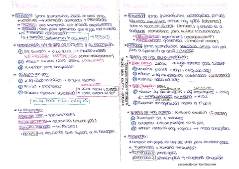 ESQUEMAS-PRACTICAS-TEFAR-I.pdf