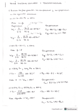 Tema-7-MATERIALES-Problemas-resueltos.pdf