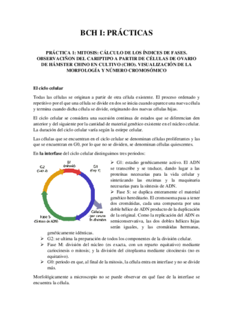 resumen todas prácticas bch I.pdf