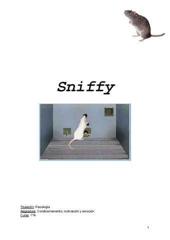 Informe-Sniffy.pdf