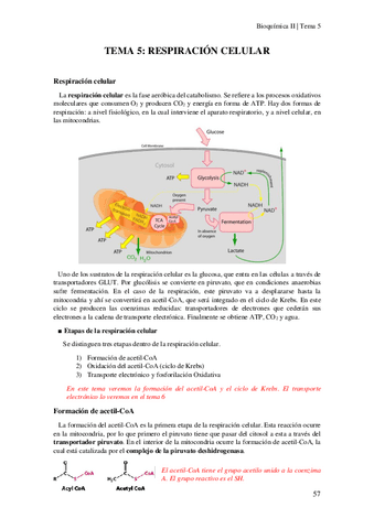 Tema-5-Respiracion-celular.pdf