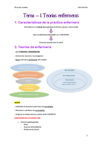 TEMA-1-Teorias-enfermeras.pdf