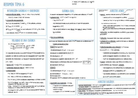 RESUMEN-T6.pdf