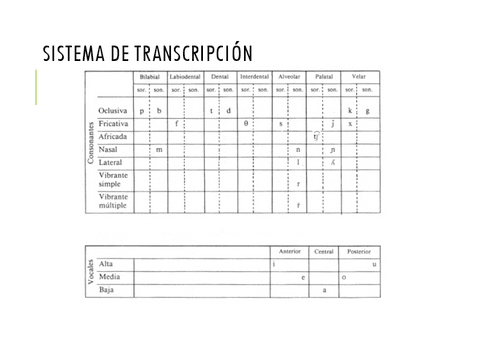 SISTEMA-DE-TRANSCRIPCION-fonologia.pdf