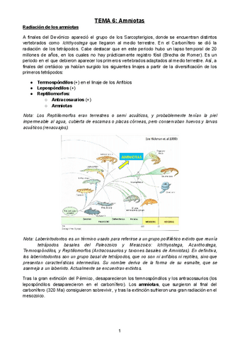 TEMA-6-Amniotas.docx.pdf
