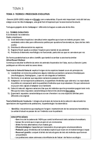 tema-3-eto.pdf