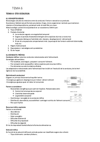 tema-6-eto.pdf