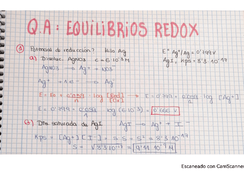 Ejercicios-resueltos-EQUILIBRIOS-REDOX-Quimica-Analitica.pdf