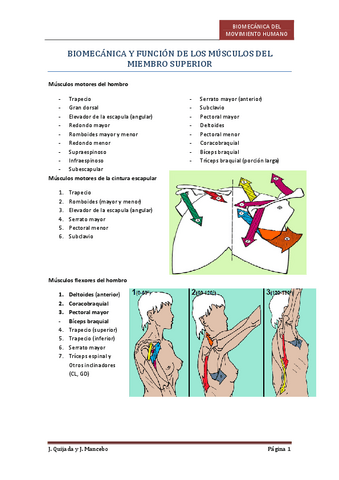Tema-5.-Biomecanica-y-funcion-de-los-musculos-del-miembro-superior.pdf