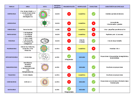 MACRO-ESQUEMA-FAMILIAS-Y-CARACTERISTICAS-VIRUS.pdf