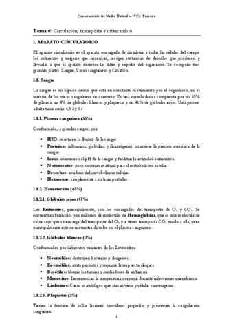 Tema-6-CMN.pdf