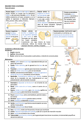 RESUMEN-TEMA-3-ANATOMIA.pdf