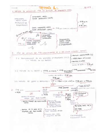 tema-1-esquemas-y-ejercicios.pdf