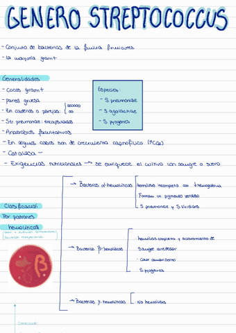 Streptococcus.pdf