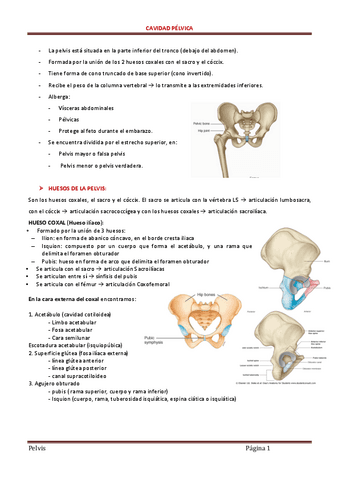 3 Cavidad Pelvica Pdf