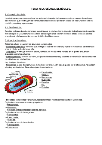 Resumen-bio-T7-La-celula.-El-nucleo.pdf