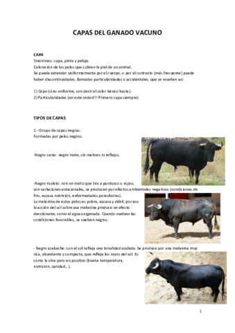 2 Capas de vacuno (completo).pdf