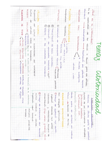 Esquema-para-estudiar-T2.pdf