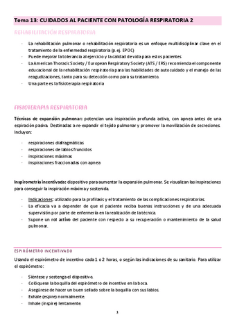 Tema-13-cuidados-del-adulto-I.pdf