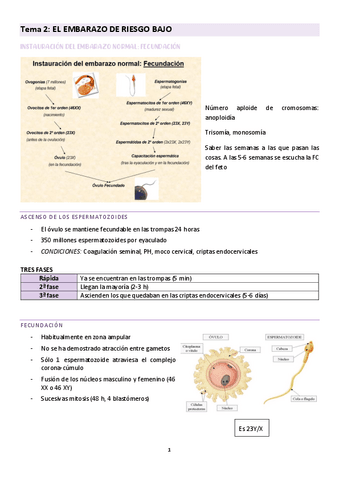 Tema-2-bloque-4-ciclo.pdf