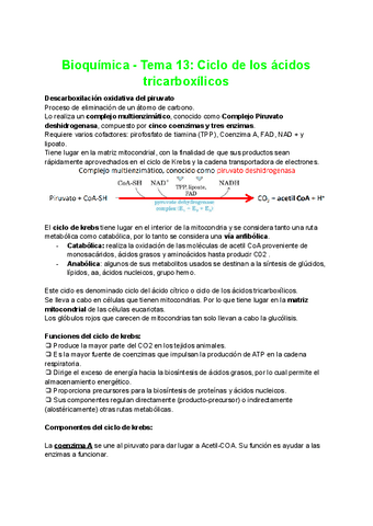 Bioquimica-Tema-13-Ciclo-de-los-acidos-tricarboxilicos.pdf