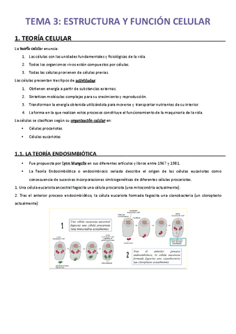 TEMA-3-BIO.pdf