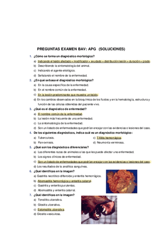 PREGUNTAS-EXAMEN-BAV-APG.pdf