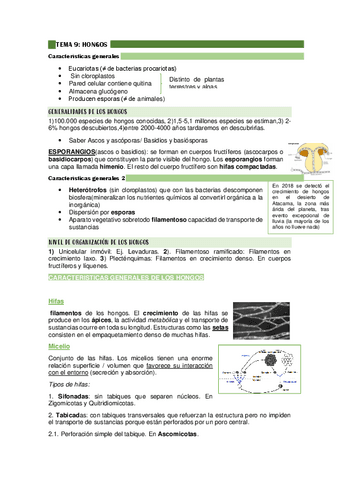 TEMA-9-BIOLOGIA-9.pdf