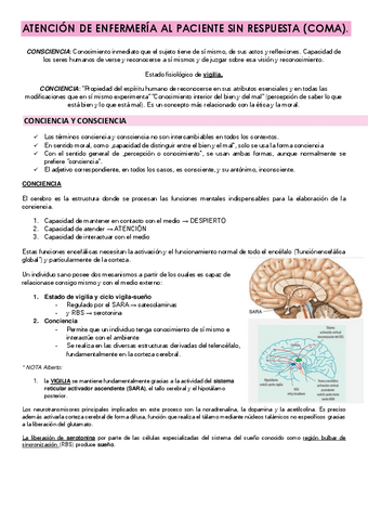 ATENCION-DE-ENFERMERIA-AL-PACIENTE-EN-COMA.pdf