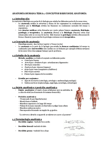 TEMA-1-ANATO-CONCEPTOS-DE-ANATOMIA.pdf