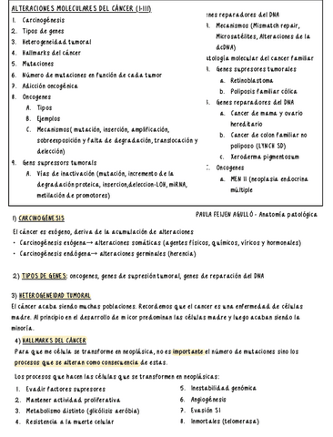 Alteraciones-moleculares-del-cancer-y-cancer-familiar.pdf