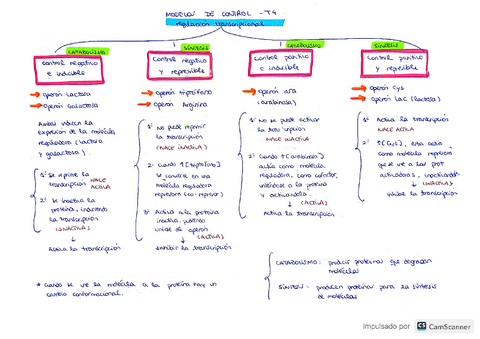 Tema-4.-Esquemas-modelos-de-control.pdf