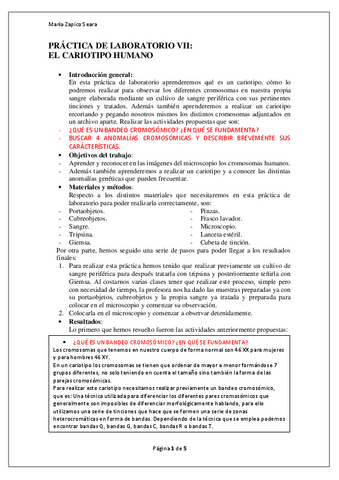 PRACTICA-DE-LAB-VII.pdf