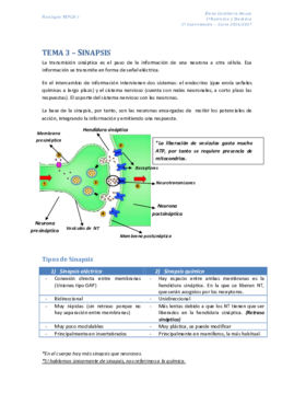 Tema 3 -Sinapsis.pdf