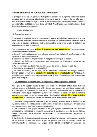Tema-11-Derechos-y-poderes-del-empresario.pdf