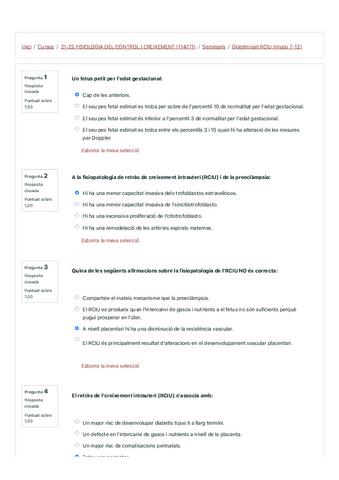 Questionari-RCIU-grups-7-12.pdf