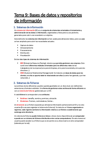 Tema-9-Bases-de-datos-y-repositorios-de-informacion.pdf