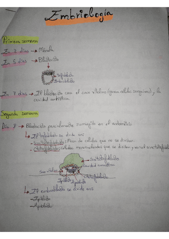 ESQUEMAS-EMBRIOLOGIA.pdf