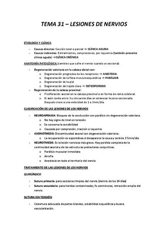 TEMA-31-LESIONES-DE-NERVIOS.pdf