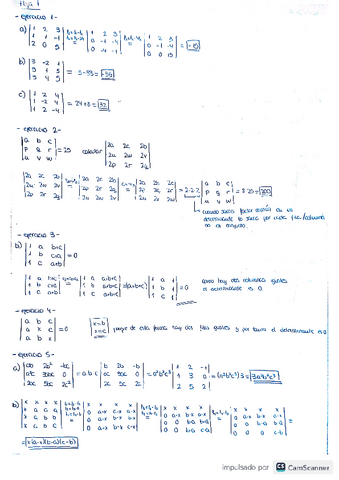 hoja-1-soluciones.pdf