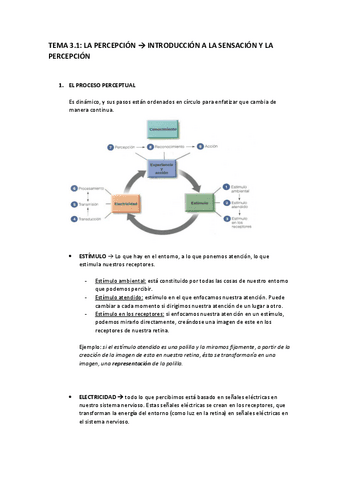 TEMA-3.1-INTRODUCCION-A-LA-SENSACION-Y-LA-PERCEPCION.pdf
