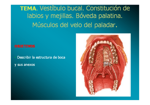 Vestibulo-bucal-DIAPOSITIVAS.pdf